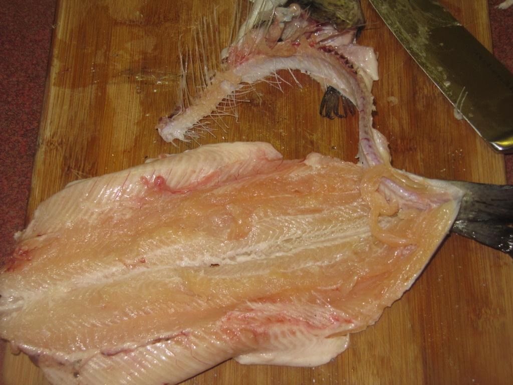 Fish Lavangi | tishineh tourism