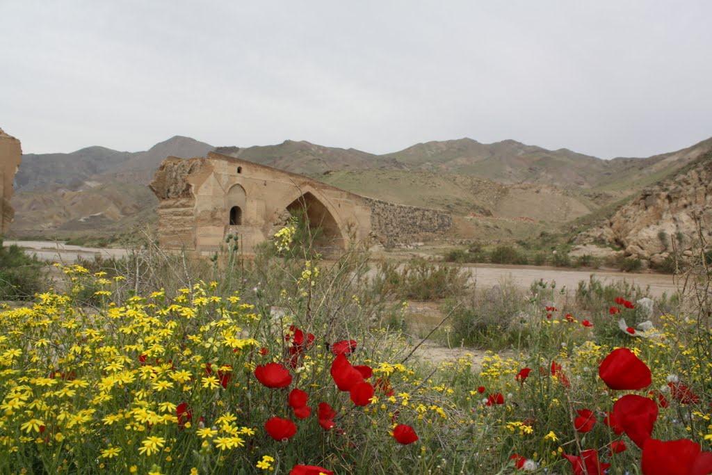 Miyaneh's Information | tishineh tourism