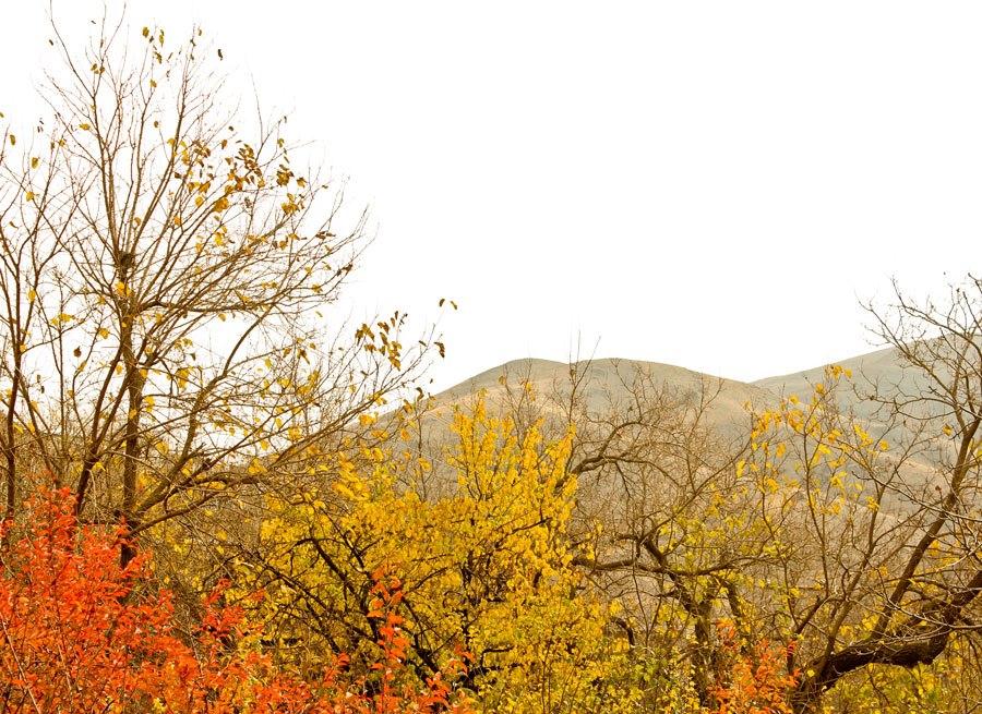 Torqabeh Summer | tishineh tourism