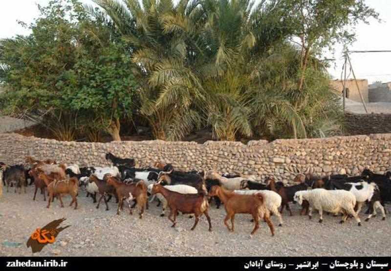 Abadan Village | tishineh tourism