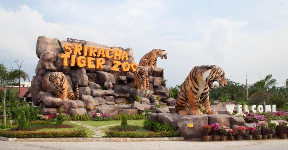 Sriracha Tiger Zoo | tishineh tourism