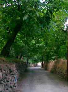 Torqabeh Summer | tishineh tourism